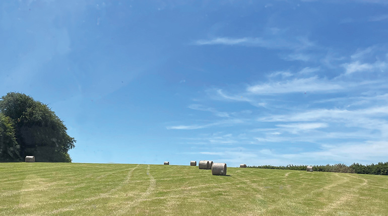 Agric Hub - Farming Blog - Agric Hub