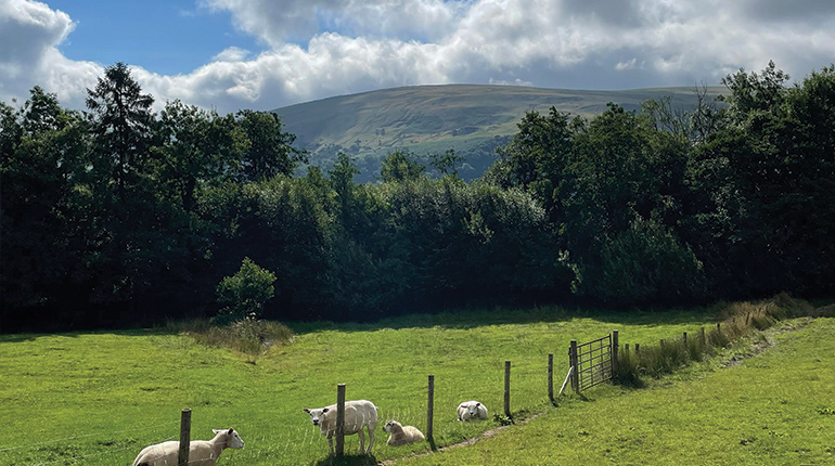 Agric Hub - Farming Blog - Agric Hub